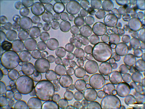 Hollow Glass Microspheres
