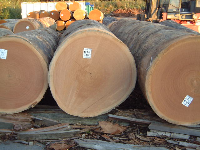 Hardwood logs and lumber - Canada, USA, China, Europe, South America.
